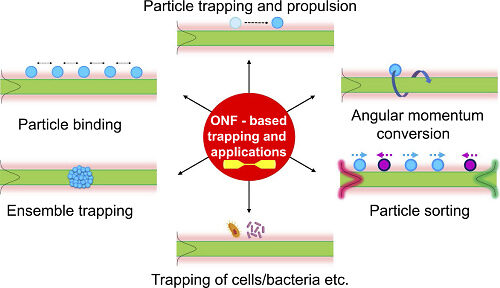 light-particle_trapping | Okinawa Institute of Science and Technology OIST